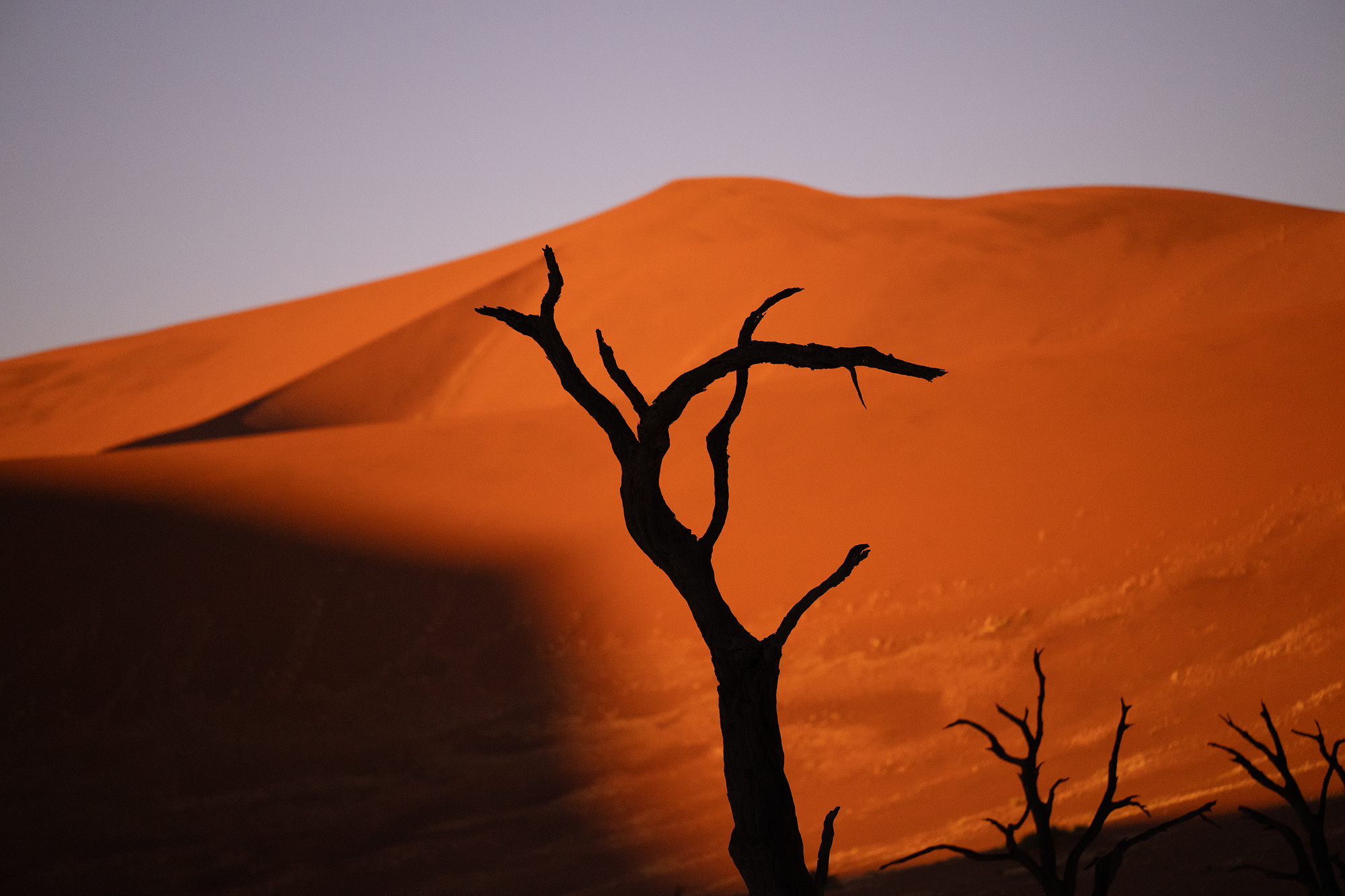 Namibia Day 6 - Into the Namib • Destination Weddings in Japan | 37 ...